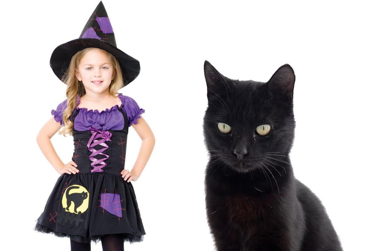 Suzana Gartner | Teaching Children to Respect Animals