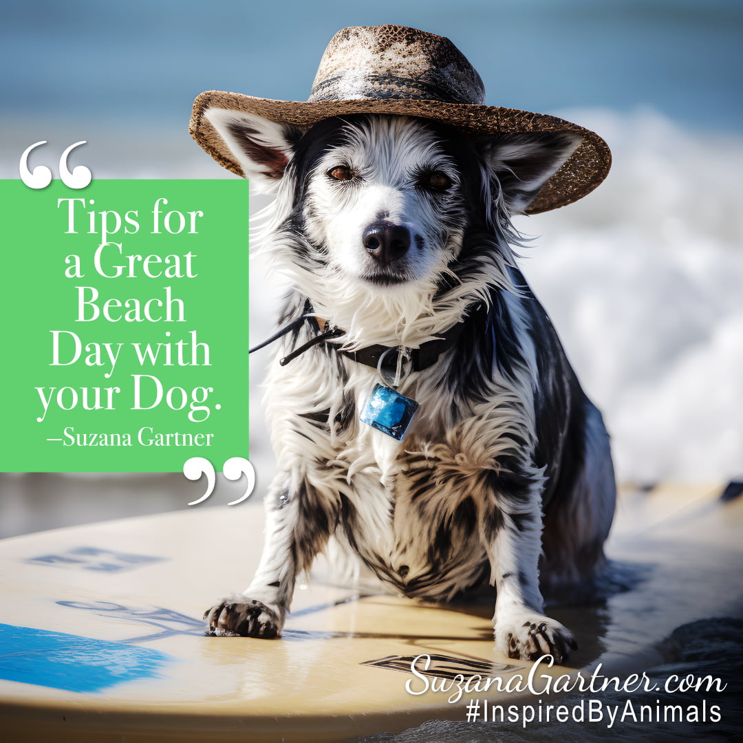 Suzana Gartner | Pet-Friendly Beaches across the US